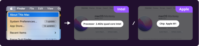 VibeMate Enjoy interactive content in the content hub for adult videos ...